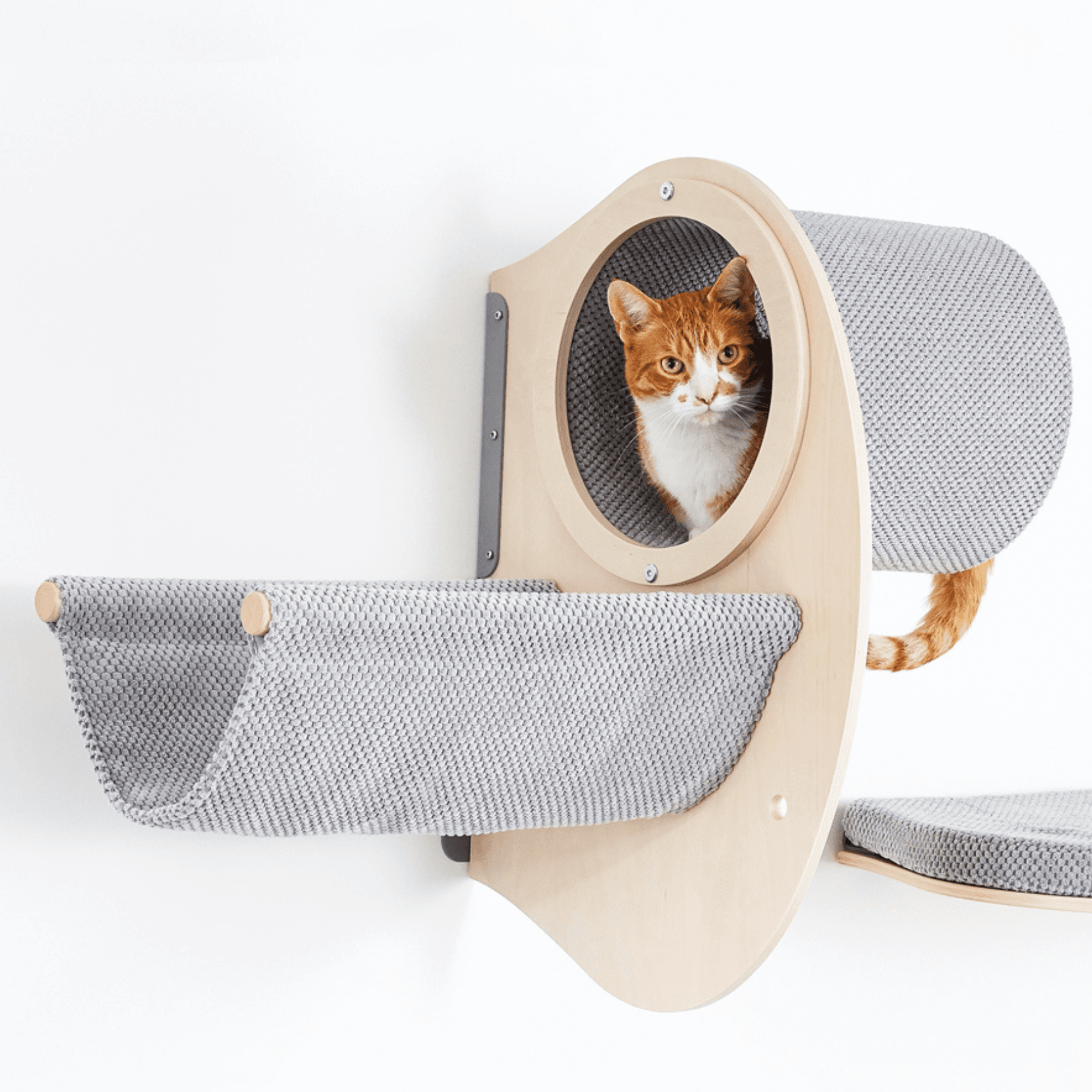 Catwalk Play | COSY AND DOZY