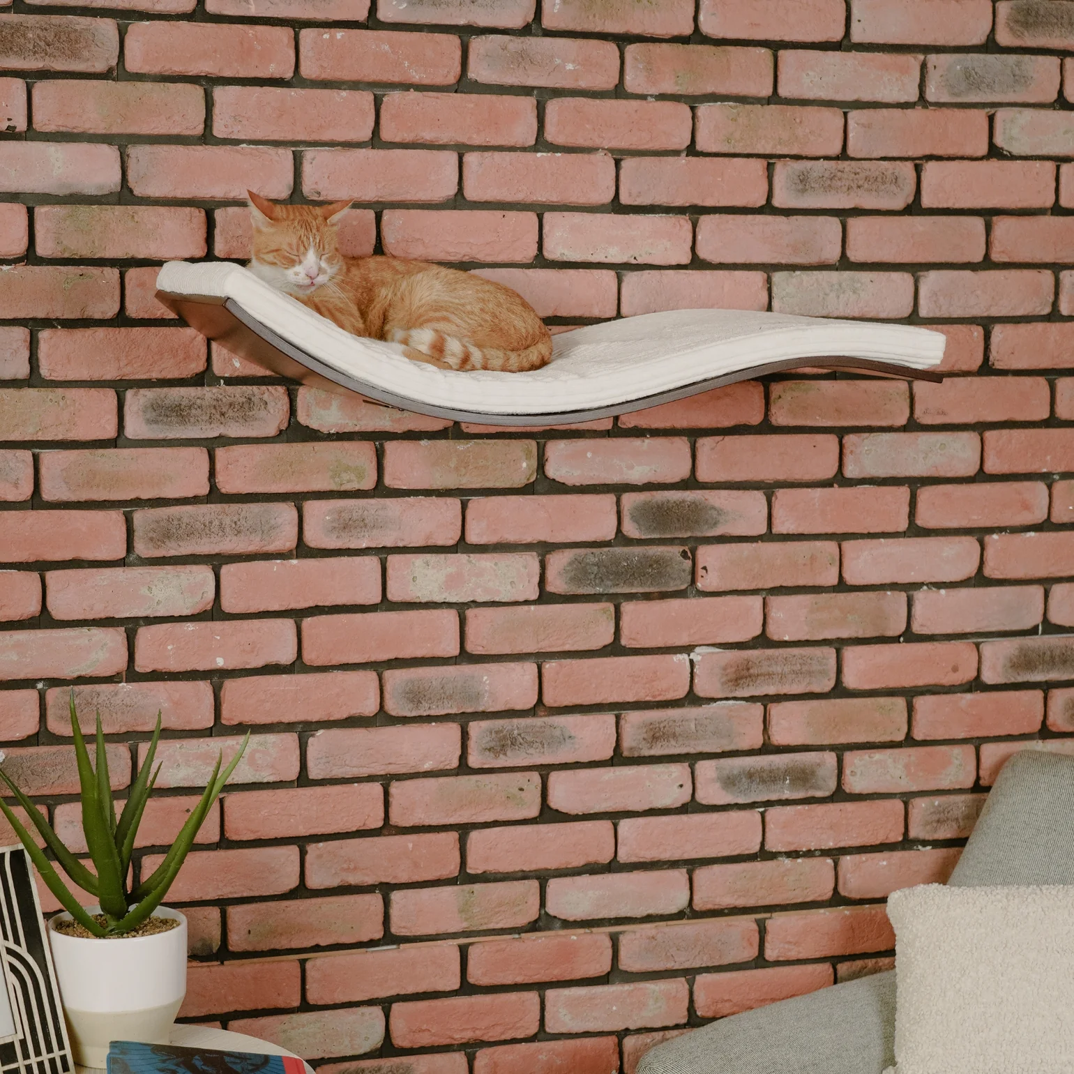 Chill Deluxe Cat Shelf | COSY AND DOZY