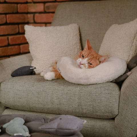 Cat Cushions | COSY AND DOZY