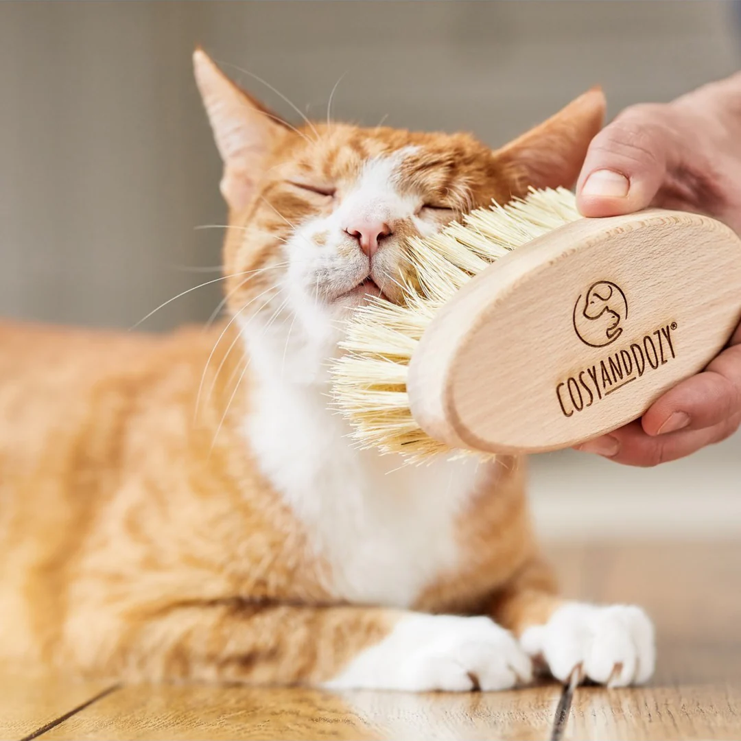 Cat Brushes & Grooming Tools | COSY AND DOZY
